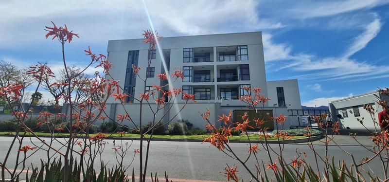 Property for Rent in Stellenbosch | Houses and Homes for Rent from ...